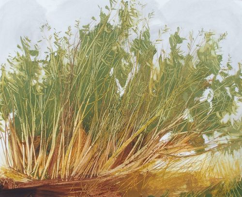 Anna King | Artist | Resipole Studios