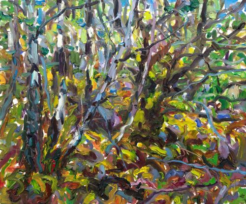 Jonathan Shearer | Artist | Resipole Studios