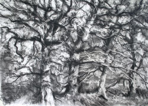 Jonathan Shearer | Artist | Resipole Studios